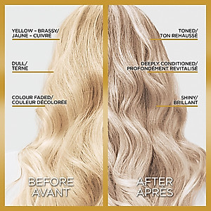 L'Oreal Paris Le Color Gloss One Step In-Shower Toning Hair Gloss for Bleached Hair, Neutralizes Brass, Conditions & Boosts Shine, Platinum Pearl, 4 Ounce