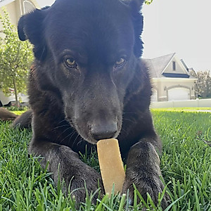 Pupford Yak Cheese Himalayan Dog Chews | for Aggressive Chewers | Durable & Long-Lasting Chews for Teething Puppies & Dogs Simple, Natural Ingredients, Low Calorie, Delicious Treat