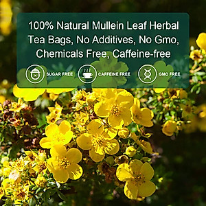Mullein Leaf Tea Bags - Lungs Cleanse and Respiratory Support, Mullein Herbal Teas, Caffeine Free, 40 Tea Bags