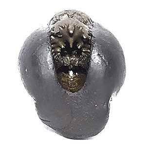 Rudrakshguru Wooden Bhuvaneshwari Shaligram (Black, 2.50 x 2-inch)