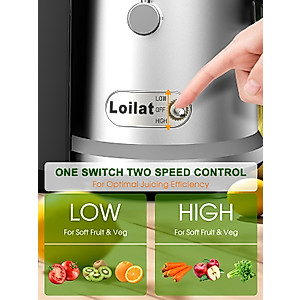 Juicer Machine, 1200W Juicer with 3" Feed Chute for Whole Fruits and Veg, Dual Speeds Centrifugal Juice Extractor, High Juice Yield, Full Copper Motor, Easy to Clean, BPA Free (Sliver)