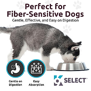 K9 Select HMR Lignans for Dogs - Enhancer for Overall Wellness, Immune Support for Dogs - Norway Spruce Extract Holistic Dog Health - Digestion, & Coat Care - Peanut Butter, 20mg, 90 Tablets