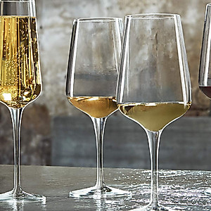 Luigi Bormioli Intenso No.350 11.75 oz White Wine Glasses (Set Of 6), Clear
