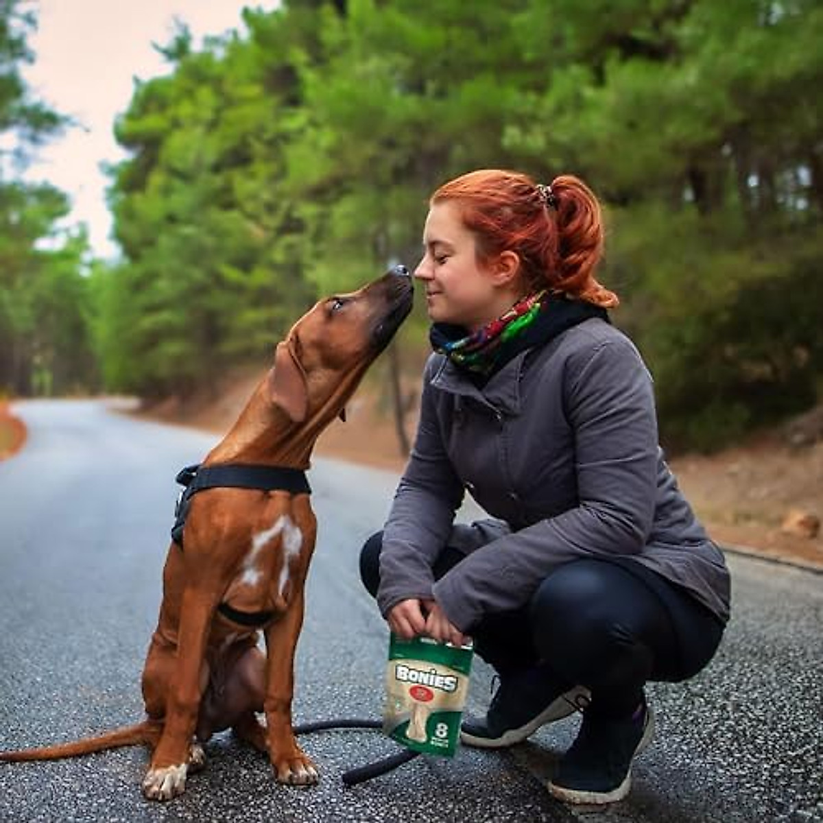 Bonies Natural Hip & Joint Formula Small-Sized Single Bone, Glucosamine & Omega Fatty Acids, Fresh Breath, Clean Teeth, Low Calories, Chicken Flavor, 15 Bones
