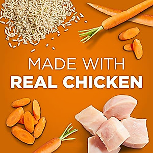 IAMS PROACTIVE HEALTH Adult Wet Dog Food Classic Ground with Chicken and Whole Grain Rice, 12-Pack of 13 oz. Cans