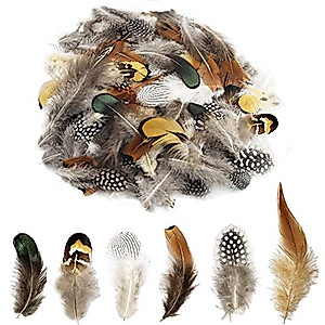 180pcs 6 Style Natural Feathers Assorted Mixed Feathers for Dream Catcher Crafts Decoration (6 Styles/180 Pcs)