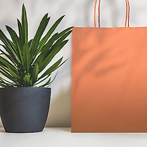 Nexmint Orange Gift Bag 8"x10.5": 24 Pack Bulk Medium Kraft Paper Bags with Handle. Great for Halloween, Birthday, Holiday Party, Autumn Festivities, Favors, Goodie, Candies, Shopping, Business, Retail