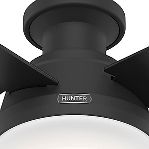 Hunter Fan Company 52390 Dempsey Ceiling Fan, 44 Inches, Matte Black