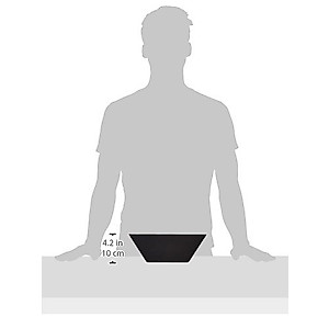 Primo 314 Cast Iron Divider for Primo Oval Junior Grill