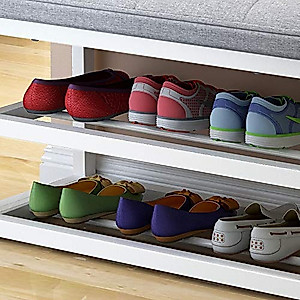 LDCHNH 2 Tier Shoe Storage Stool Living Room Shoe Rack Simple Change Shoe Bench Organizer Cabinet Hallway Seat Chair Shelf Holder (Color : D)