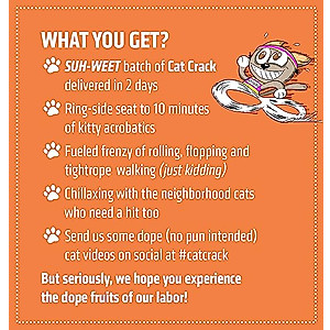 Cat Crack Organic Catnip, 100% Natural Cat Nips Organic Blend That Energizes and Excites Cats, Safe Catnip Treats Used for Cat Play, Cat Training, & New Organic Catnip Toys for Cats(1 Cup Organic)