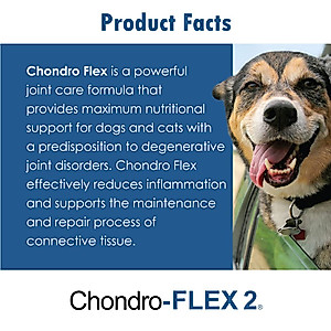Chondro Flex II (120 Chewable Tablets)