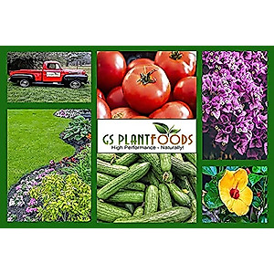 Organic Liquid Humic Acid with Fulvic Increased Nutrient Uptake for Turf, Garden and Soil Conditioning 1 Gallon Concentrate (Packaging May Vary)