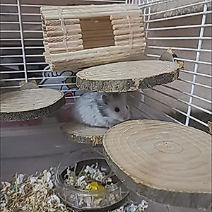 M-TOP Screw and Nuts for Building Bird Perch Stand, Hamster Platform, Chinchilla Wooden House, Small Animal Playground-Connecting and Fixing to Pet Cage(10 Packs)