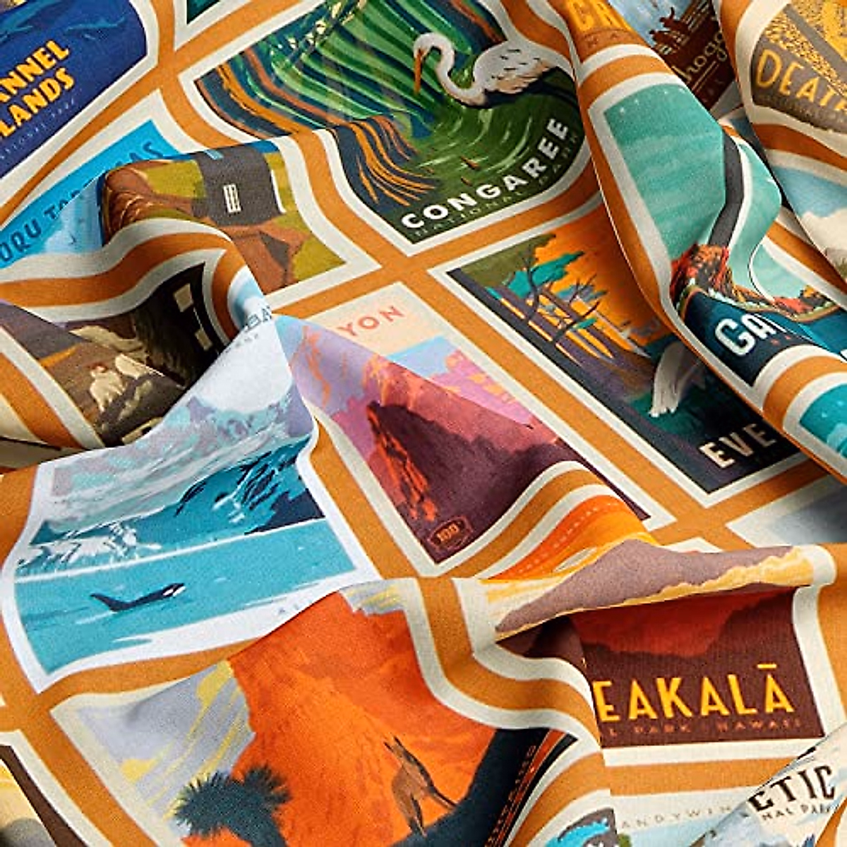 Riley Blake National Parks Posters 23”x43” Panel with Sand Borders, Quilting, Apparel and Home Decor Fabric