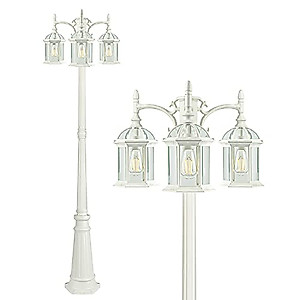 PARTPHONER 3-Head Outdoor Lamp Post Light Birdcage, Waterproof Outside White Street Light Pole with Clear Glass Shade for Yard, Garden, Patio, Path, Driveway