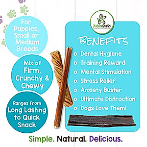 Nature Gnaws Premium Dog Chew Variety Pack - Tripe Twists, Beef Jerky and Bully Sticks for Dogs - Long Lasting Dog Chew Treats - Rawhide Free Dental Bones