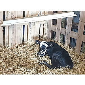 SWEETER HEATER Safe Heater for Chicks, Coops, & Animals, OH11x40, 150 Watt