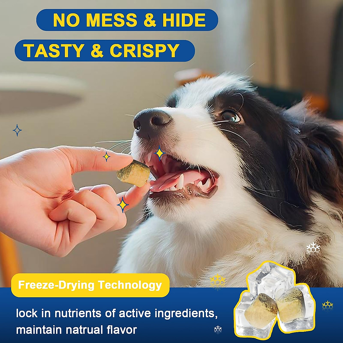 Dog Allergy Relief, Itch Relief for Dogs, Colostrum, Probiotics for Dogs Support Immunity, Omega3, Honey for Dry & Itchy Skin Relief, Seasonal Allergy, Pawlicking, Hot Spot Treatment, 115 Immune Bites