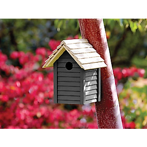 Garden Paint Charcoal Grey 250ml