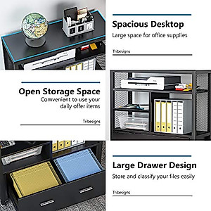 Tribesigns Wood Lateral File Cabinet with Drawer for Letter Size, Large Modern Filing Cabinet Printer Stand with Metal Wire Open Storage Shelves for Home Office (Black)