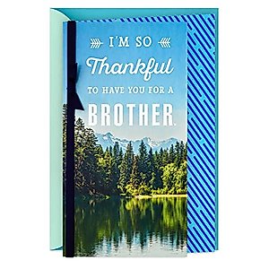 Hallmark Birthday Card for Brother (So Thankful)