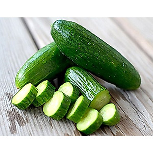 30+ Persian Beit Alpha (A.k.a. Lebanese) Cucumber Seeds Heirloom NON-GMO Crispy Fragrant From USA