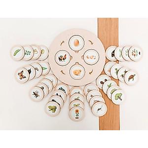 Montessori Life Cycle Puzzle Board Kit, Life Cycle Puzzle Kit of Animals, Plants and Insects, Toddler Puzzle Development Toys, Early Educational Toy for 3~6 Years Old Preschool Kids