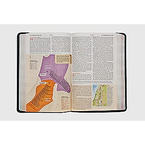 NLT Student Life Application Study Bible, Filament Enabled (LeatherLike, Charcoal Gray Striped, Red Letter)