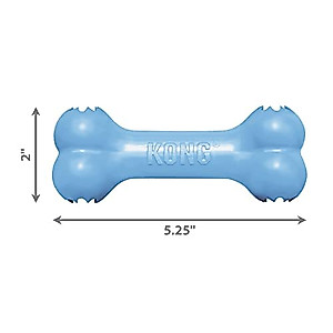 KONG - Puppy Goodie Bone - Teething Rubber, Treat Dispensing Dog Toy - for Small Puppies - Blue