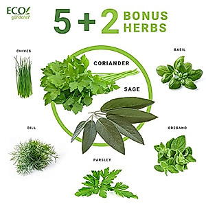 ECOgardener Herb Garden Kits - Indoor Herb Garden Kits - Herb Seed Kits for Indoor Gardening - Window or Kitchen Herb Garden Kits - 5 Pack + 2 Bonus Herbs