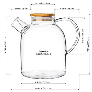 Tealyra - Glass Stove-top Kettle 60-ounce - Teapot - Heat Resistant Borosilicate - Pitcher - Carafe - No-Dripping - For Tea Juice Water - Hot or Iced - 1800ml