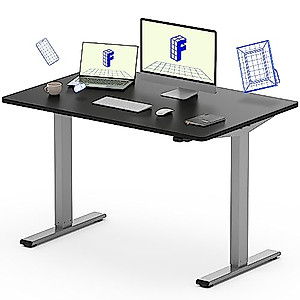 FLEXISPOT Electric Height Adjustable Desk with Desktop, 48 x 30 Inches, Standing Desk Stand Up Desk Workstation (Silver Frame + 48 in Black Top)