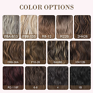 REECHO Hair Extensions, 20 Inch 4PCS Synthetic Fiber Clip in Hair Extensions Natural Soft Hairpieces for Women, Dark Blonde with Highlights