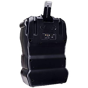 Karaoke USA GF920 Rechargeable Portable Bluetooth CDG-MP3G Karaoke Machine and PA System with 2 Microphones