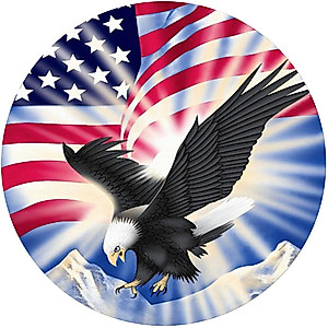 WZVZGZ Metal Tin Sign Circle Round Sign,American Flag Eagle,USA Flag American Patriotic Eagle,Suitable for Home Garden Kitchen Bar Cafe Restaurant Garage Wall Decor Retro Vintage 12x12 Inch