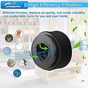 2 Replacement Foam & Filter Compatible for Style 9, 10 & 12,Replace Part # 2031085ES, 203108532065,2031183,32064 & 32065