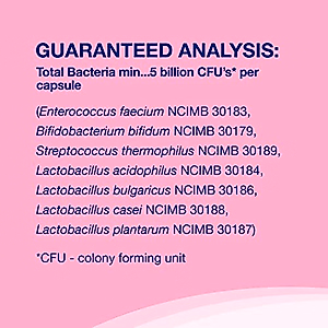 Nutramax Proviable Digestive Health Supplement Multi-Strain Probiotics and Prebiotics for Cats and Dogs - With 7 Strains of Bacteria, 30 Capsules