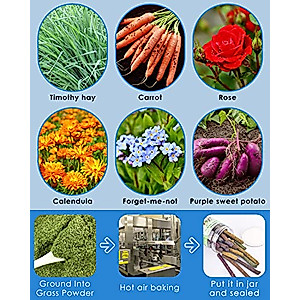 Bissap 36PCS Bunny Chew Sticks, Mixed Natural Timothy Hay Carrot Purple Potato Flowers Rabbit Treats for Bunny Chinchilla Guinea Pig Hamster and Other Small Animals Molar Snack Toy