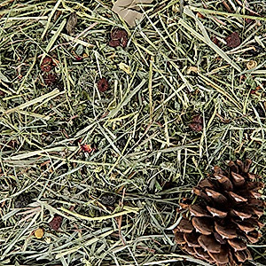 Small Pet Select - Gourmet Hay Pet Food, Exclusive Treat Hay, Flowers, and Herb Blend, for Rabbits, Guinea Pigs, Small Animals, 2lb