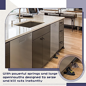 Qualirey Mouse Traps Indoor for Home Rat Traps for House Small Mice Traps Reusable Rat Traps Snap Traps Quick Effective Mouse Catcher Safe Mousetrap for Family and Pet (24 Pcs)