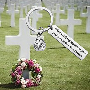 FAADBUK When A Ladybug Appear (Ladybug Appear Keychain)