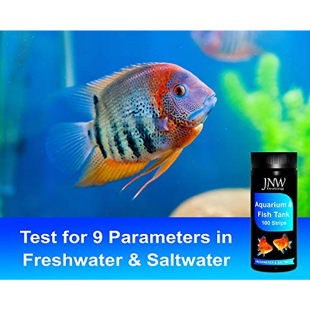 Aquarium Test Strips - 9-in-1 Aquarium Test Kit with eBook - Aquarium Water Test Kit with Quick and Accurate Fish Tank Test Strips - 100 Test Strips by JNW Direct