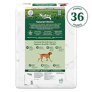 Nutro Natural Choice Adult Dry Dog Food, Lamb and Brown Rice Recipe, 36 lb. Bag