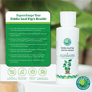 Fiddle Leaf Fig Rescue Drops by Fiddle Leaf Fig Plant Resource | 3-in-1 Liquid Fertilizer, Root Supplement & Immunity Booster (3.3 Fluid Ounces - 100ml)