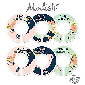 Modish Labels Baby Clothes Size Dividers, Baby Closet Organizers, Size Dividers, Baby Closet Organizers, Closet Dividers, Clothes Organizer, Girl, Boho, Tribal, Feathers, Flowers, Birds (Baby)
