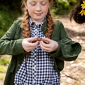 CLIF Kid Zbar - Chocolate Chip - Soft Baked Whole Grain Snack Bars - USDA Organic - Non-GMO - Plant-Based - 1.27 oz. (24 Pack)