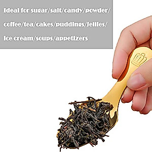 Mini Scoop for Canisters Stainless Steel Salt Spoon Candy Scoops Condiments Spoon Dessert Spoon Sugar Spoon for Tasting, Coffee, Ice Scream, Cake