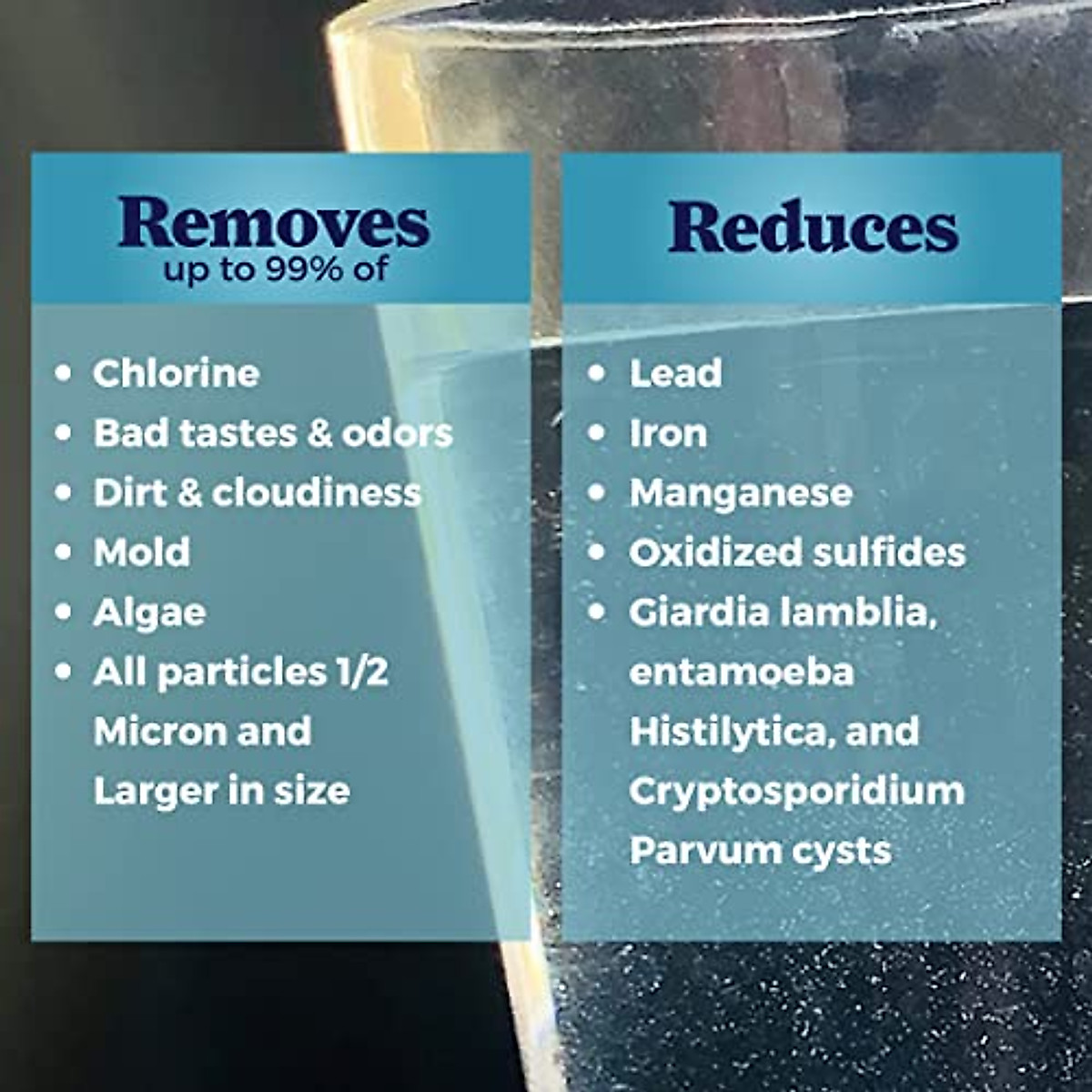 Everpure 2H-L | Aquverse A100 | Pentair S-54 Replacement Filter Cartridge for Water Cooler | NSF Certified | 2-Pack