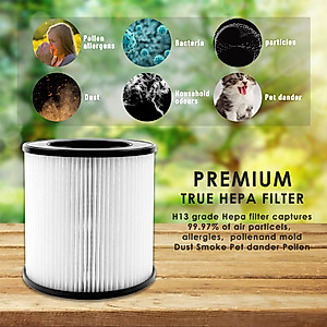 B-D02L H13 True HEPA Replacement Filter Compatible with MOOKA and KOIOS